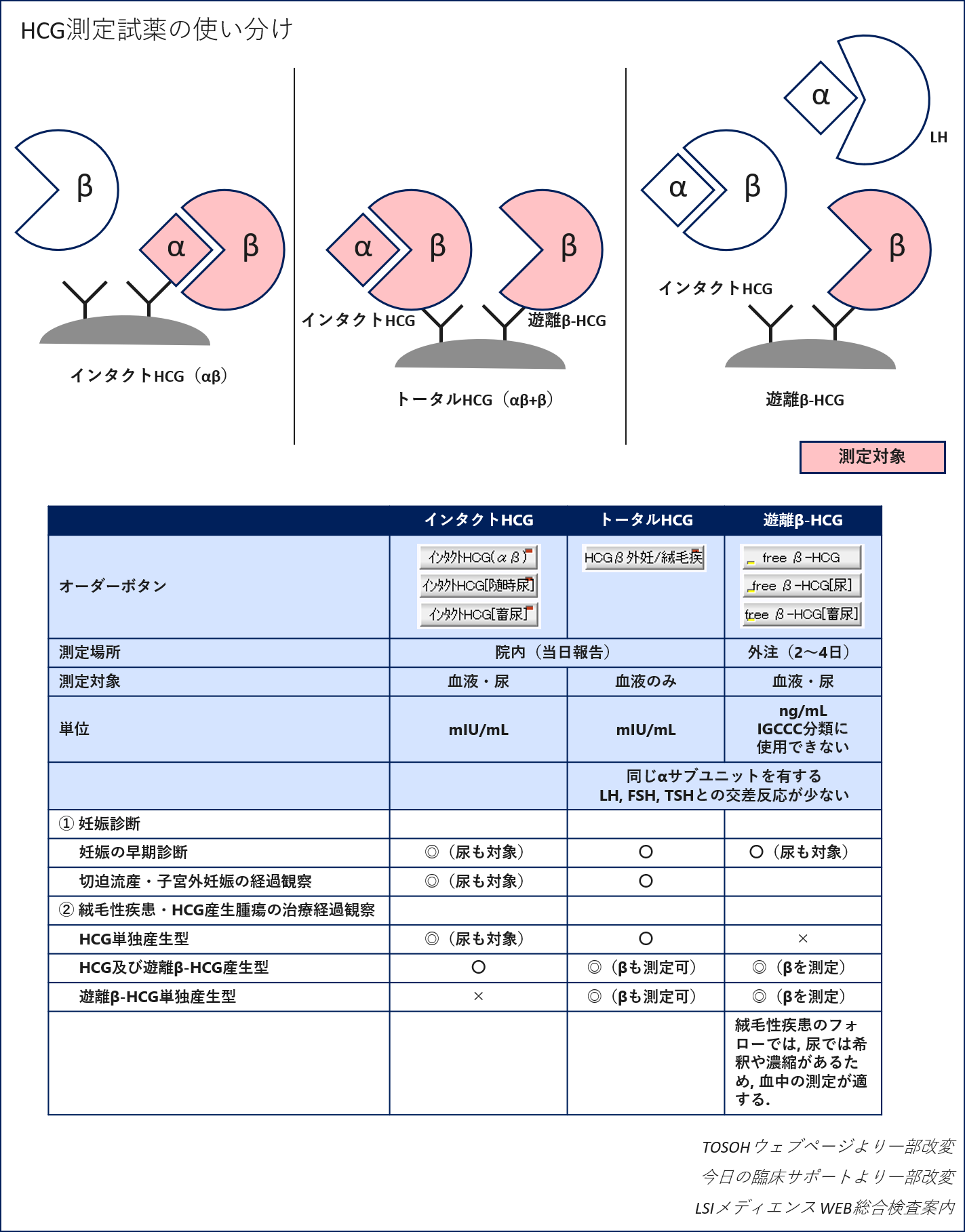 1170_インタクトHCG(αβ)[血清] 京都大学医学部附属病院検査部 検査項目情報